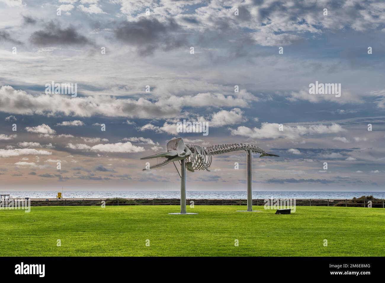 Skeleton of a whale in Morro Jable on Fuerteventua, Spain Stock Photo ...