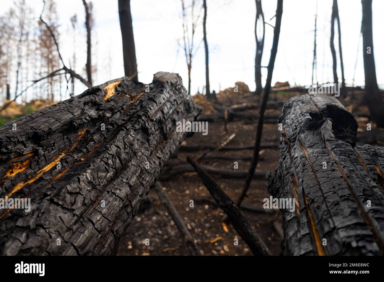 Forest fires in europe hi-res stock photography and images - Alamy