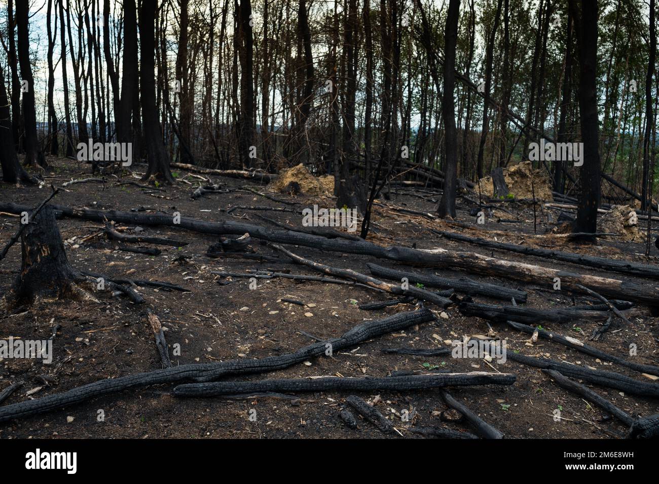 Fire sources hi-res stock photography and images - Alamy