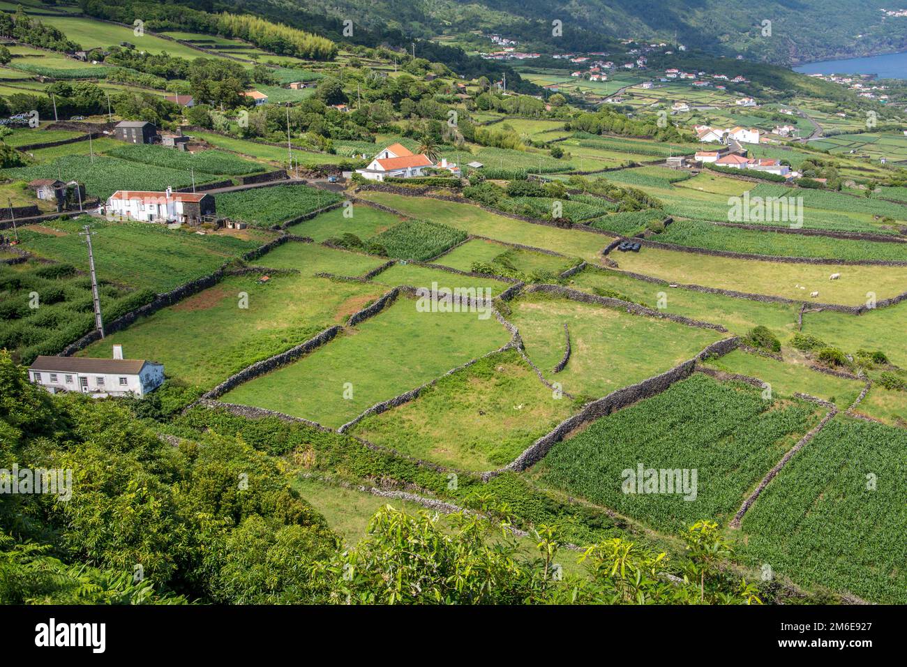 Walk on the Azores archipelago. Discovery of the island of Pico, Azores ...