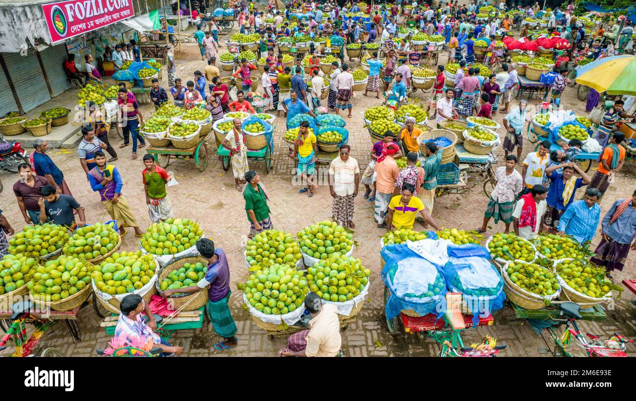 Rajshahi, Rajshahi, Bangladesh. 4th Jan, 2023. Farmers cycle to deliver ...