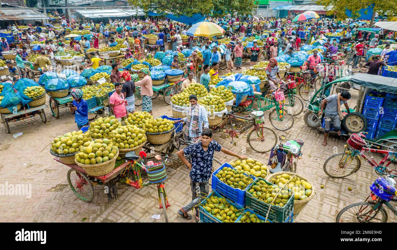 Rajshahi, Rajshahi, Bangladesh. 4th Jan, 2023. Farmers cycle to deliver ...