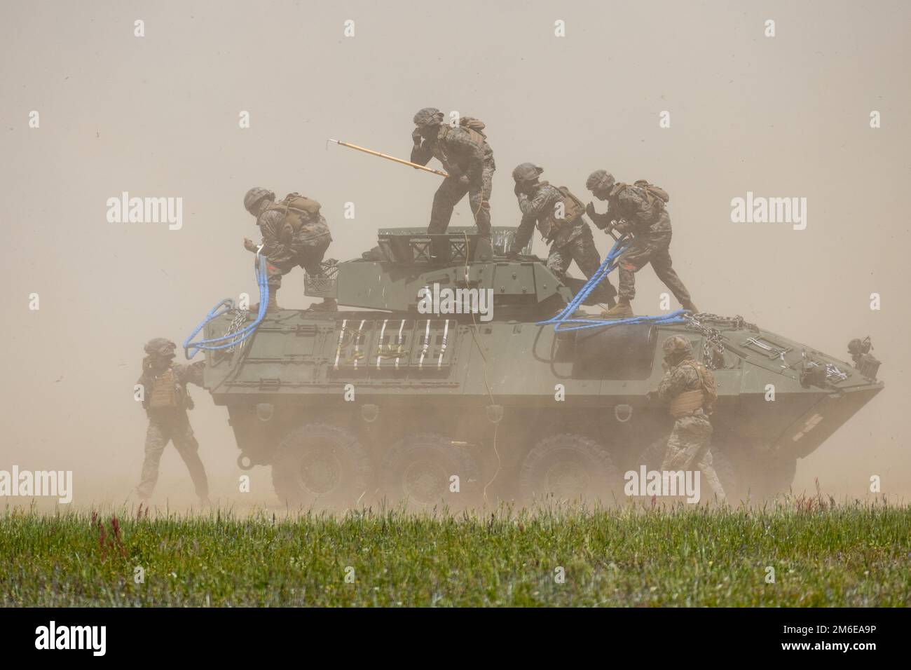 U.S. Marines with Combat Logistics Battalion (CLB) 24 prepare a Light ...