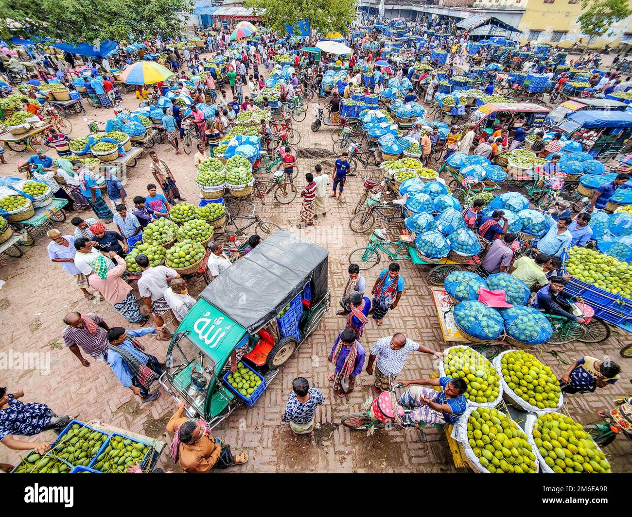 Rajshahi, Rajshahi, Bangladesh. 4th Jan, 2023. Farmers cycle to deliver ...