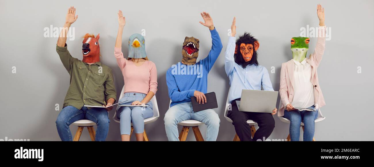 Team of men and women wearing funny animal masks voting and raising ...