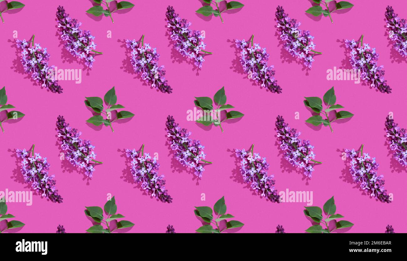 Trendy isometric Seamless continuous pattern with spring lilac flowers ...