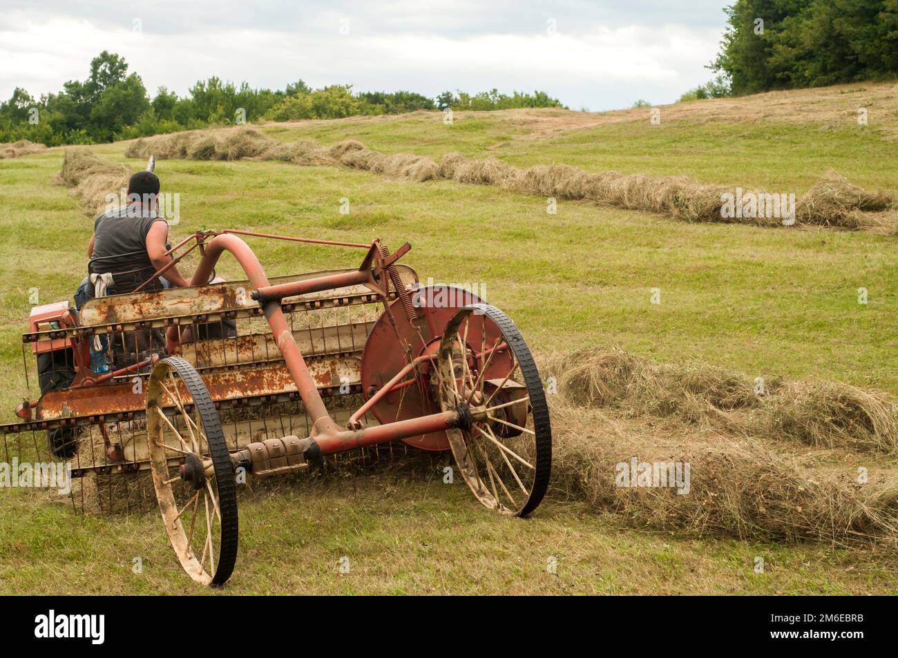 Collecting hay by vintage machines on mountain meadow in summertime ...