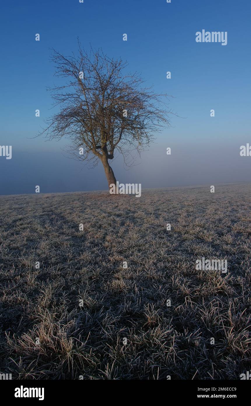 Frosty apple hi-res stock photography and images - Alamy