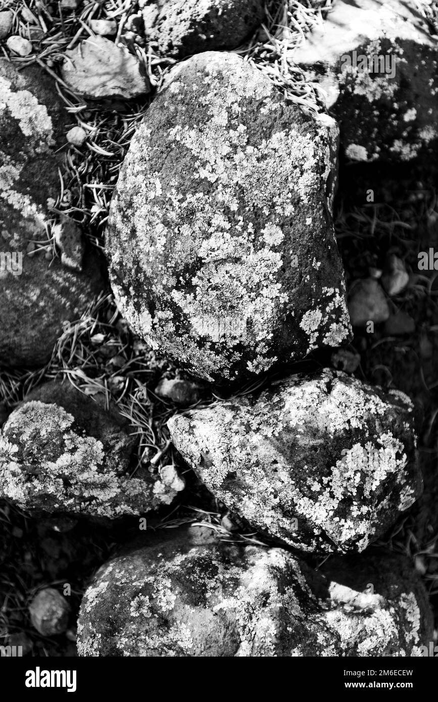 A vertical grayscale of the mossy rocks Stock Photo - Alamy
