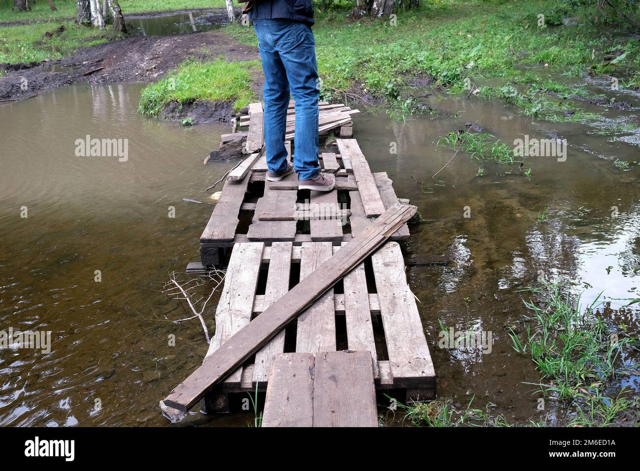 A man stands on a wobbly bridge in the forest. Wooden planks are laid ...