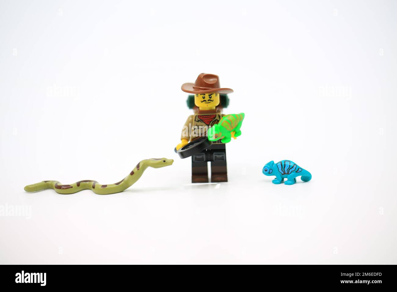 Snake try hi-res stock photography and images - Alamy