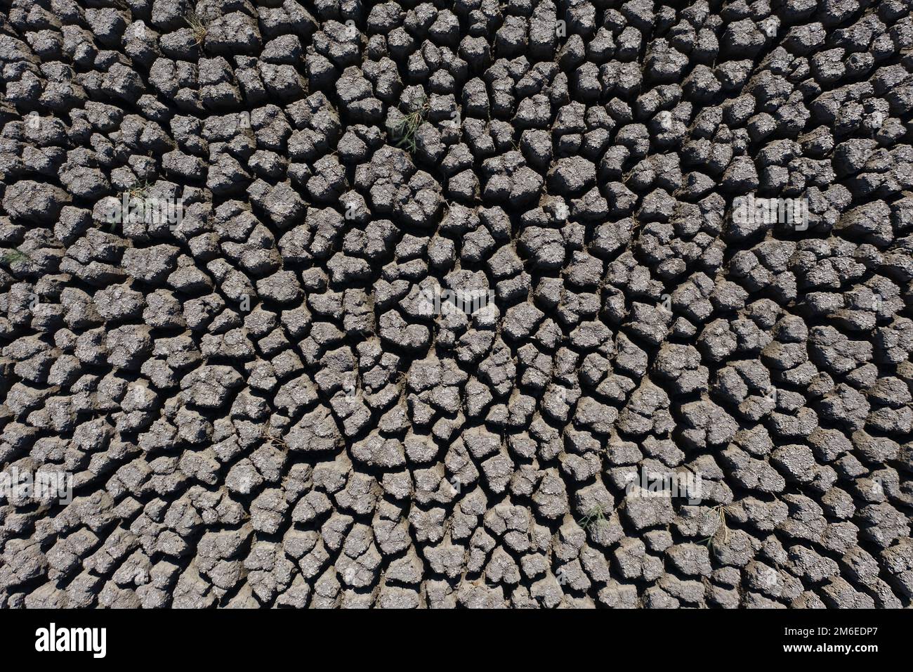 Drought deep cracked earth surface lit by the sun Stock Photo - Alamy