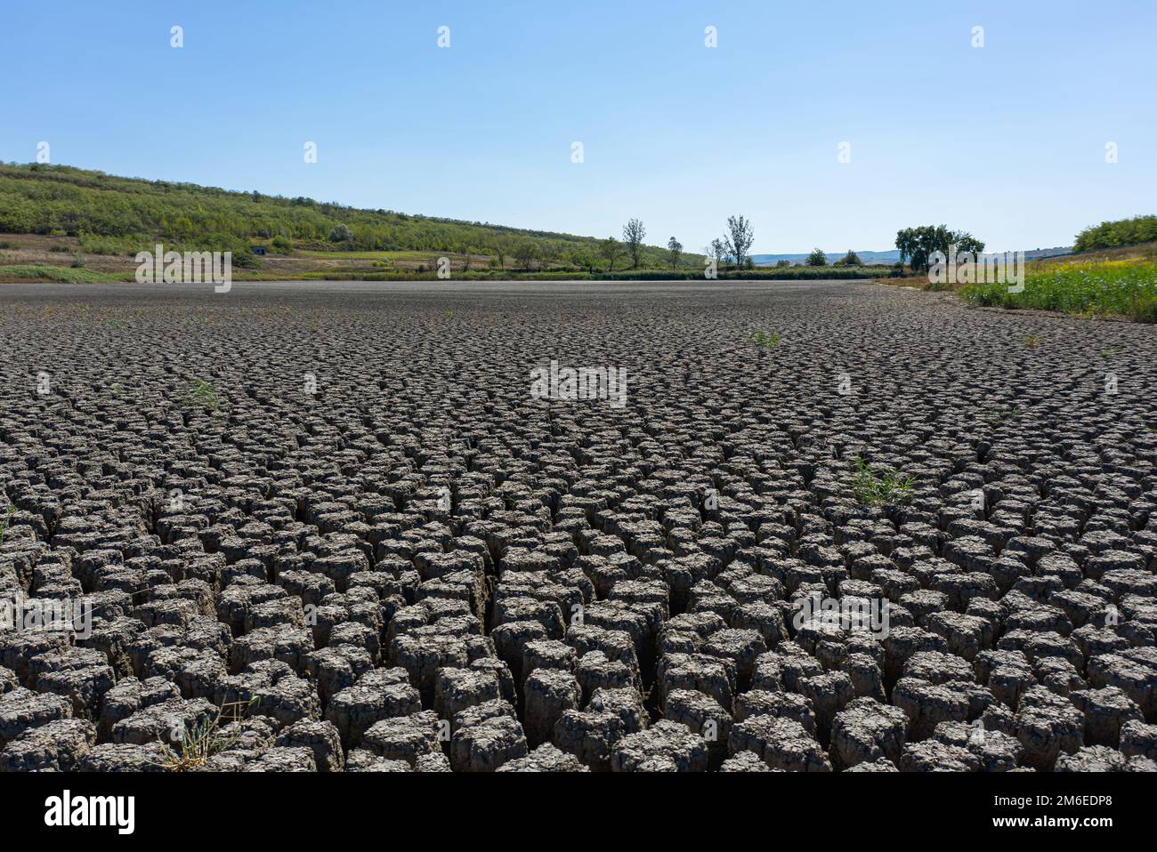 Dry cracked black earth hi-res stock photography and images - Alamy