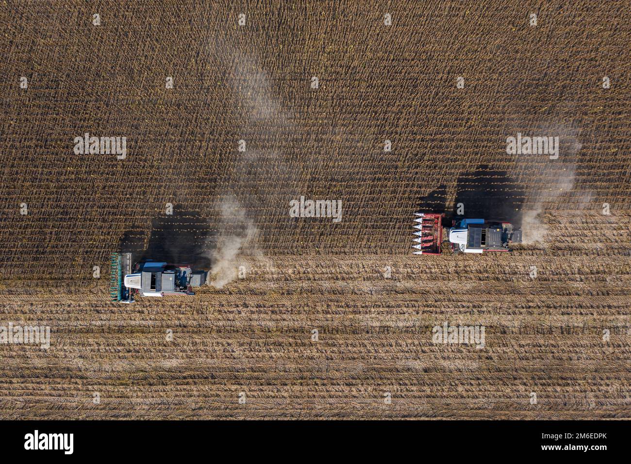 Harvesting of sunflower seeds, aerial view Stock Photo - Alamy