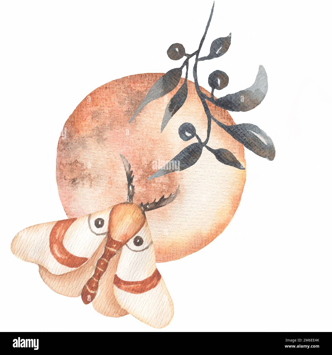 Watercolor hand drawn abstract illustrarion of moth, night butterfly ...