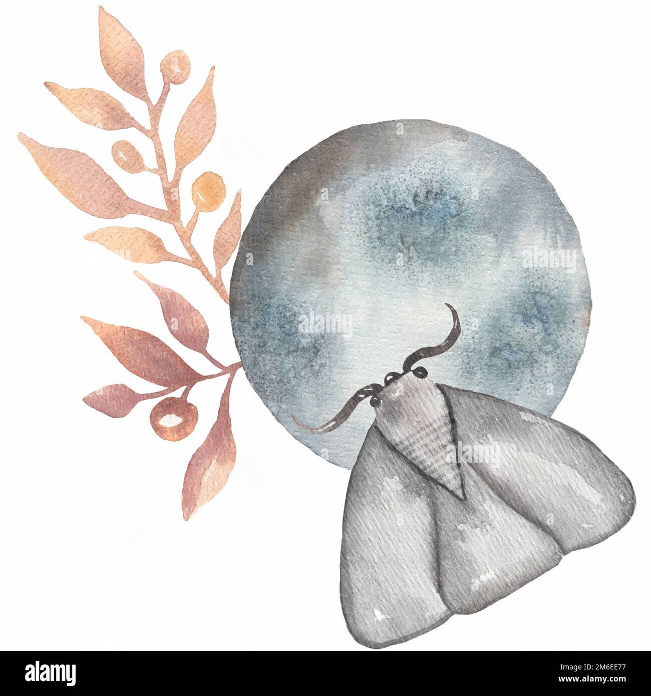 Watercolor hand drawn abstract illustrarion of moth, night butterfly ...