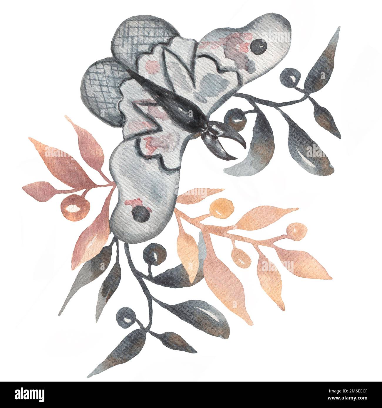 Watercolor hand drawn abstract illustrarion of moth and branch of ...