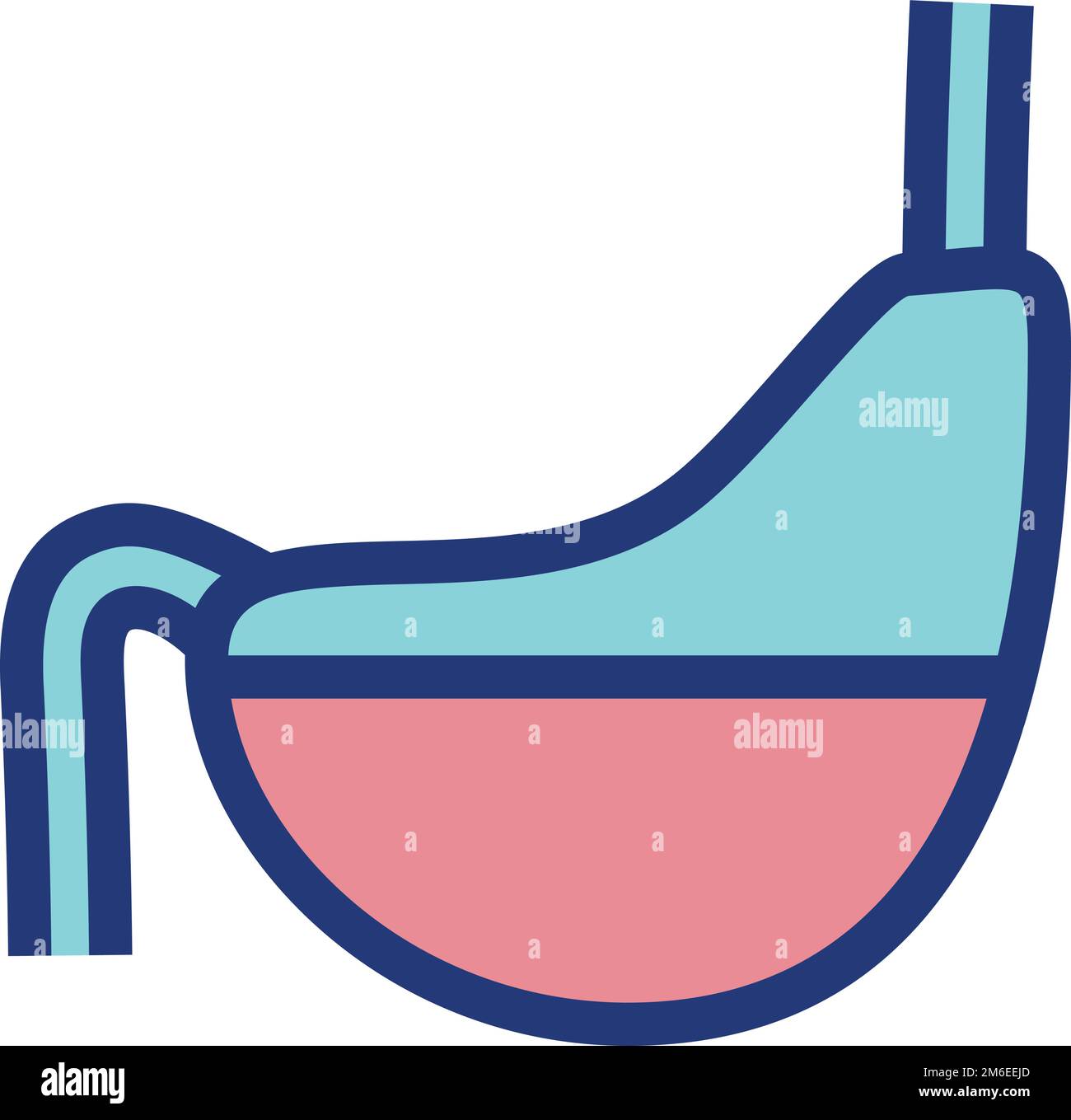 Stomach human organ color icon Cut Out Stock Images & Pictures - Alamy