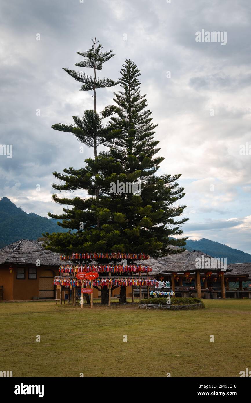 Pai, Thailand. November 19, 2022. Tree and buildings on Yun Lai ...