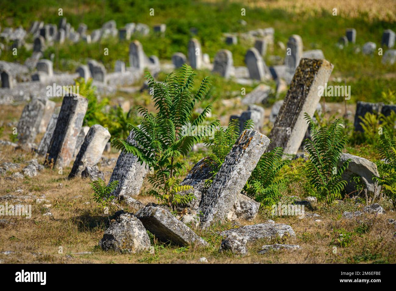 Old tombstones at the ancient Jewish cemetery in Vadul liu Rascov in ...