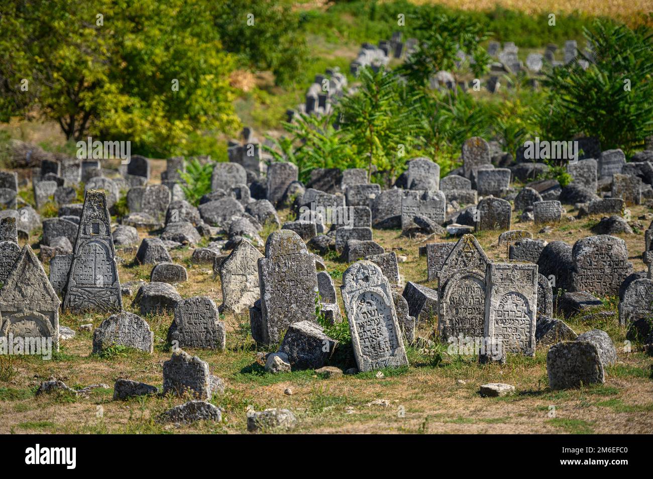 Old tombstones at the ancient Jewish cemetery in Vadul liu Rascov in ...