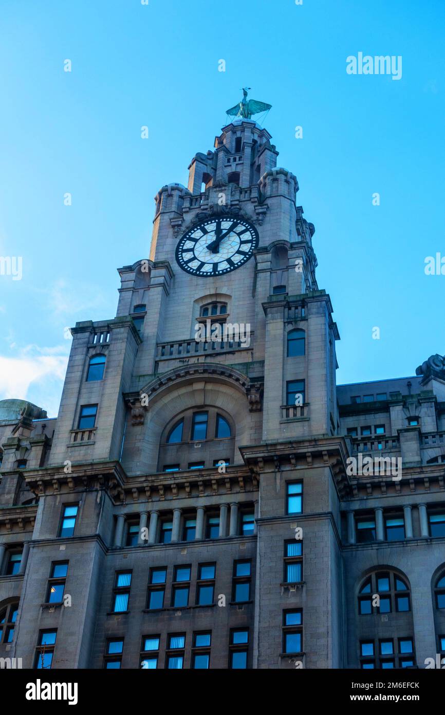 Royal Liver Building Liverpool Stock Photo - Alamy
