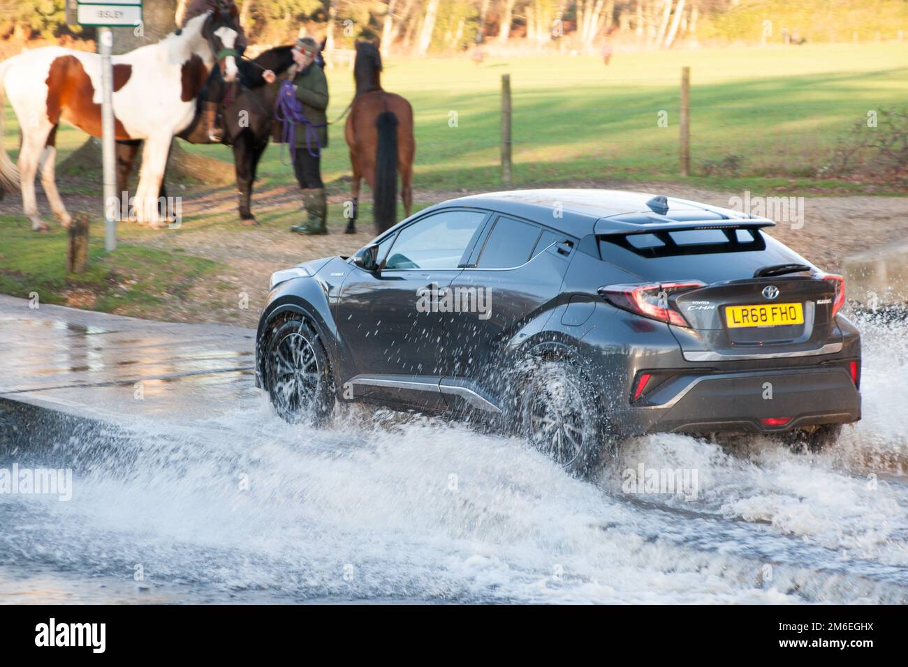 ford Dockens Water Ibsley New Forest Hampshire England UK Stock Photo ...