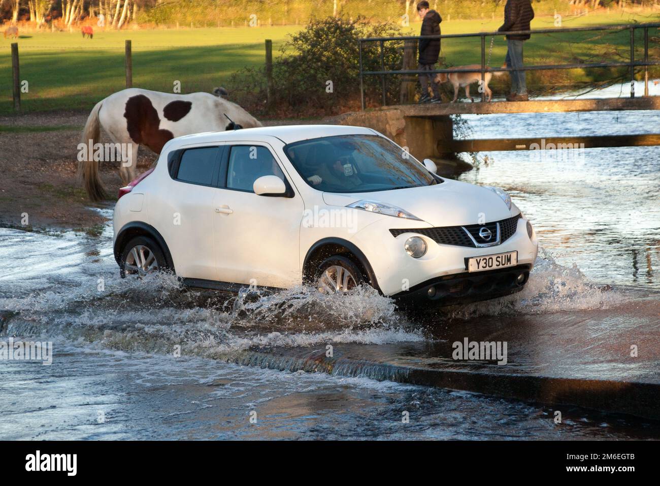 ford Dockens Water Ibsley New Forest Hampshire England UK Stock Photo ...