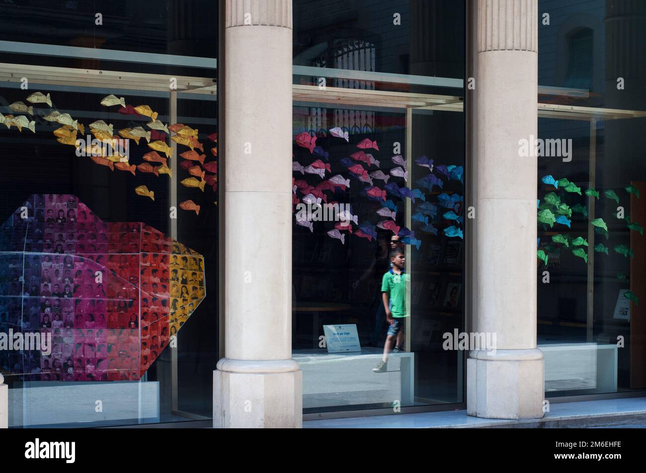 Contemporary gallery showcase with rainbow fish Stock Photo - Alamy