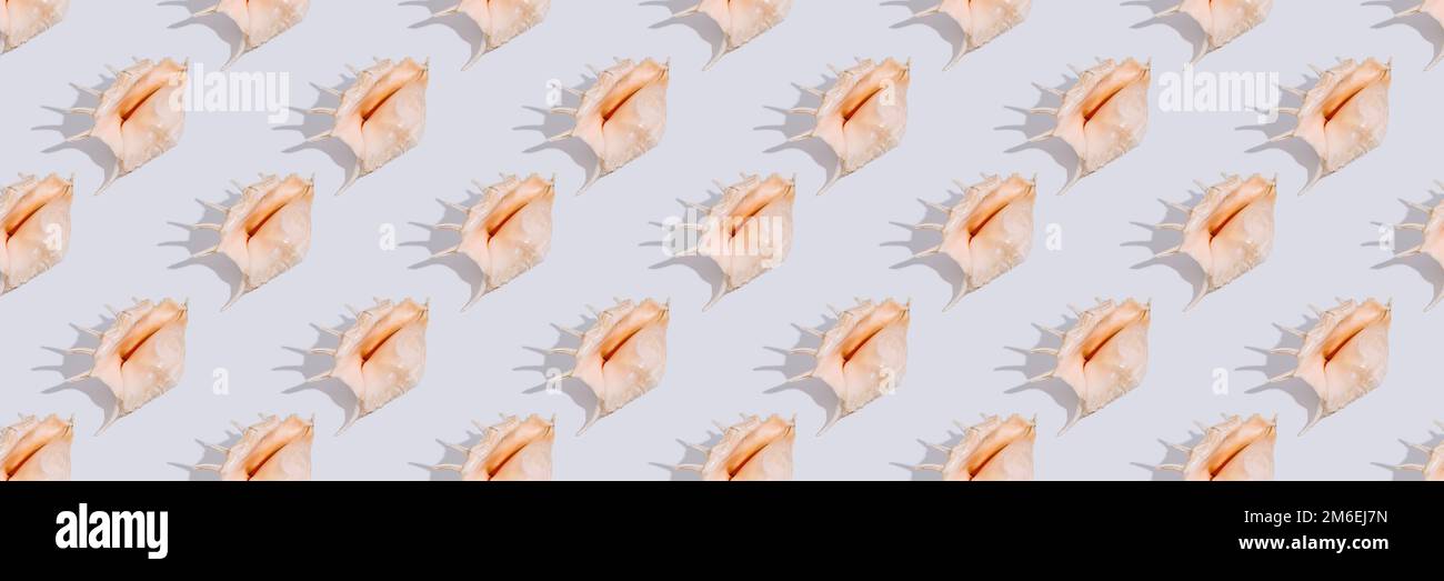 Shell pattern with hard shadow Stock Photo - Alamy