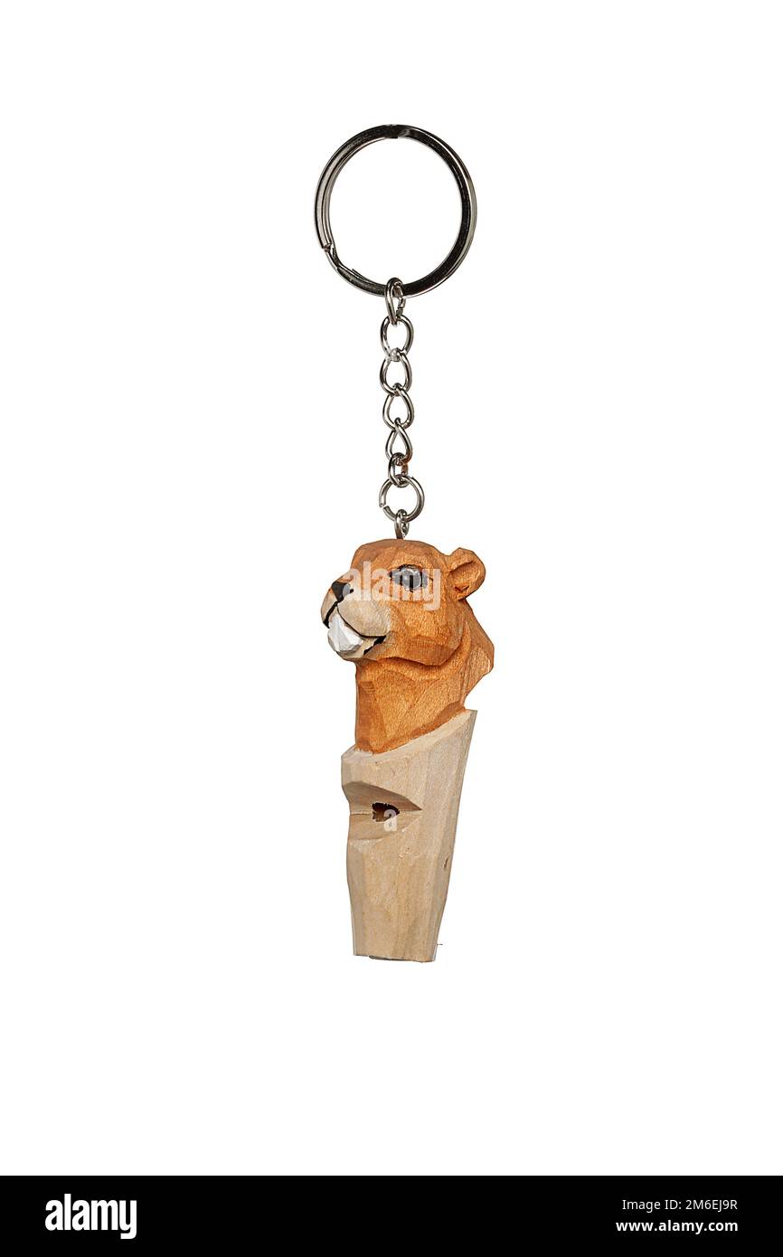 Key rings of various shapes, figures on a white background. Gift for ...