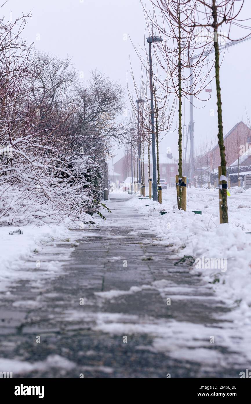 Outdoor portrait cleared sidewalk hi-res stock photography and images ...