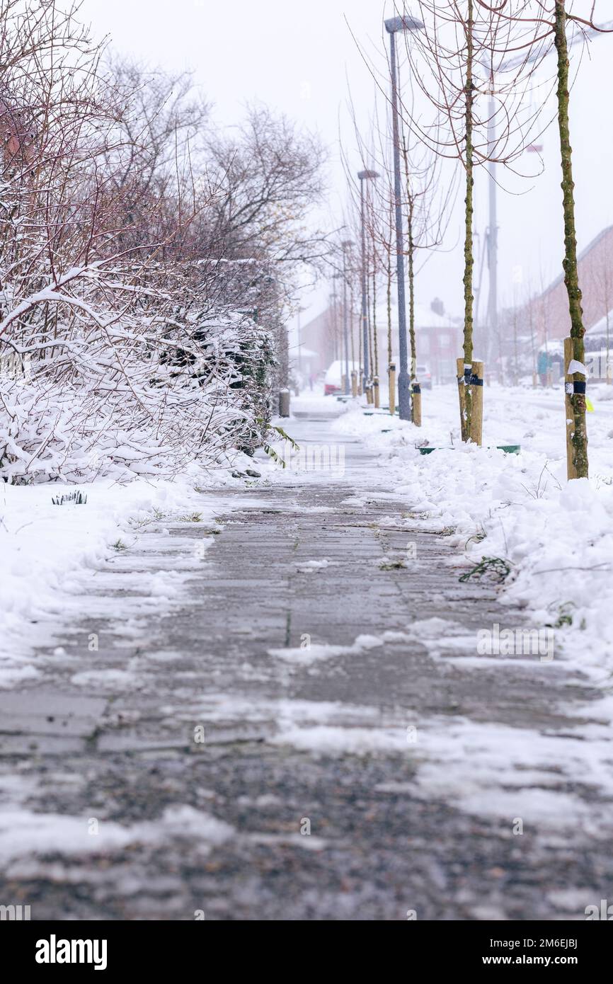 Outdoor portrait cleared sidewalk hi-res stock photography and images ...