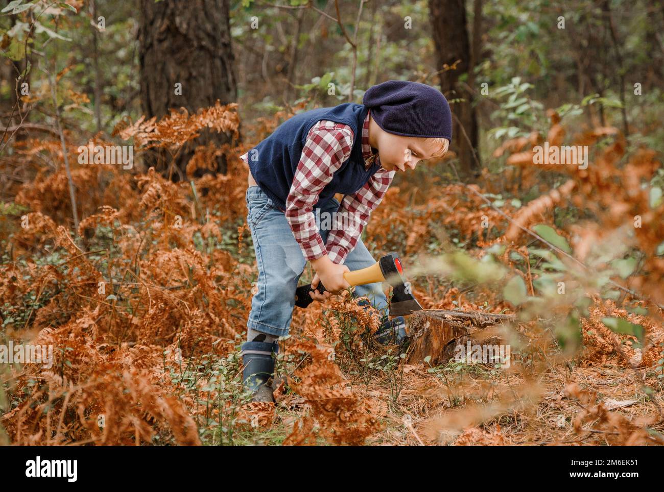 Little boy in the autumn forest. A boy with an ax near a tree ...