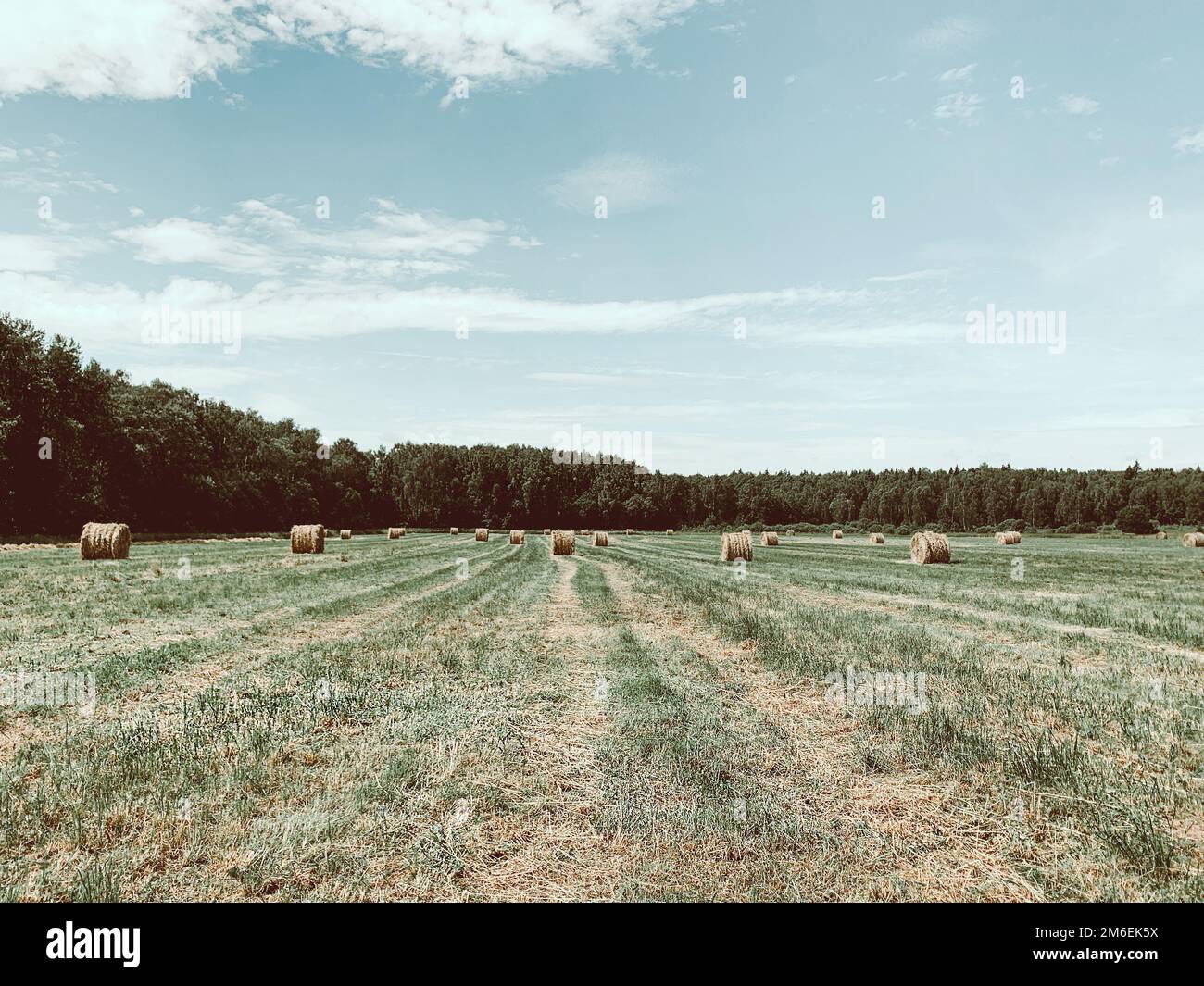 Summer season countryside hi-res stock photography and images - Alamy
