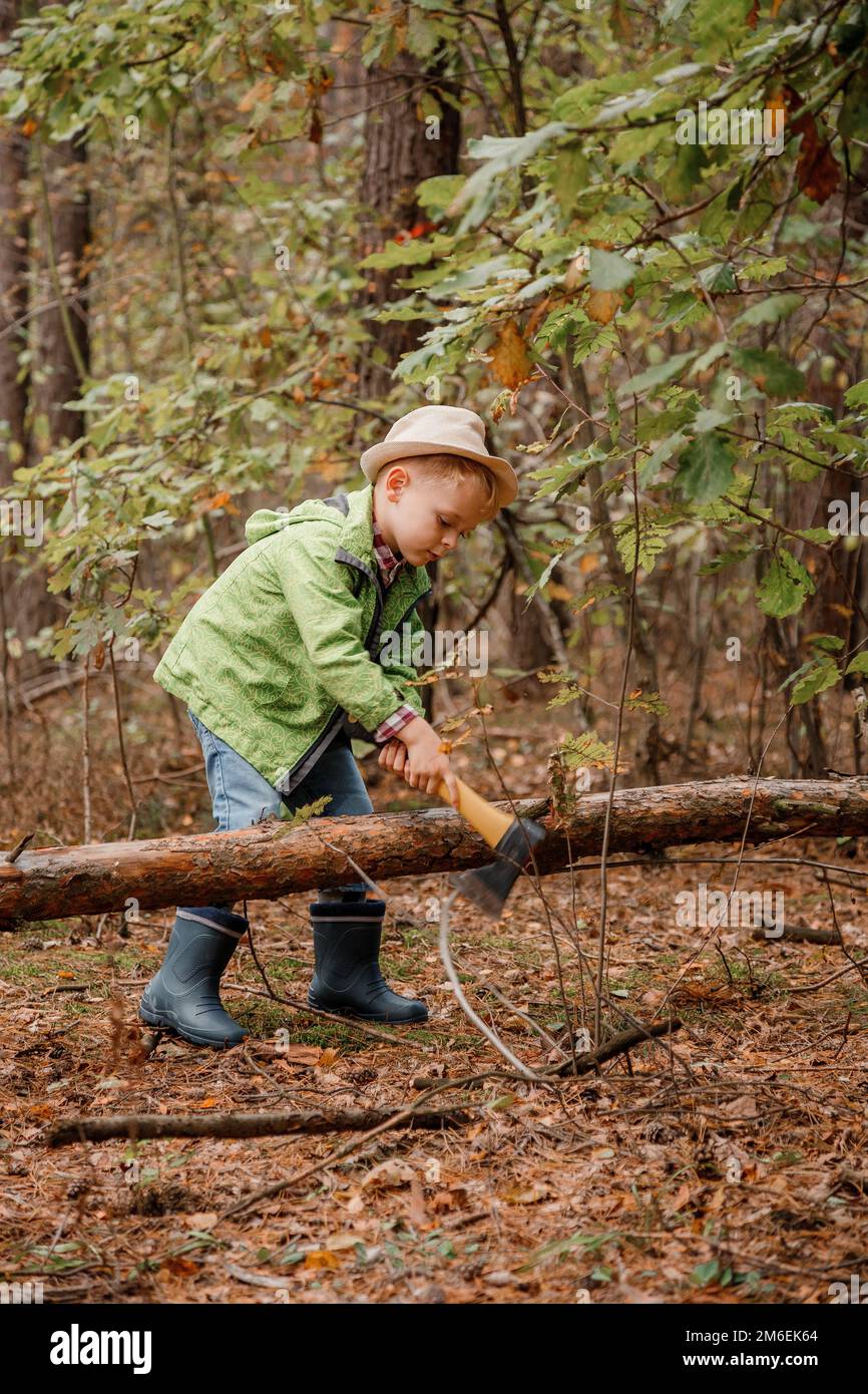 Little boy in a hat in the autumn forest. A boy with an ax near a tree ...