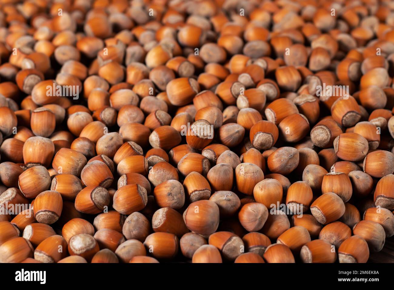 Hazel wood texture hi-res stock photography and images - Alamy