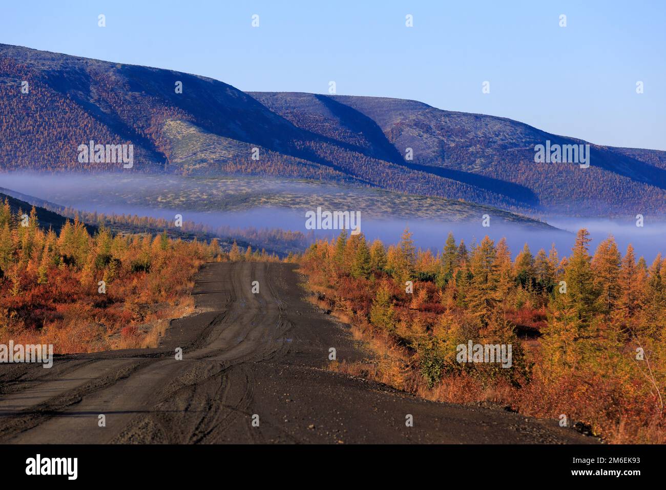 The nature of the Magadan region. Forest road among taiga during golden ...