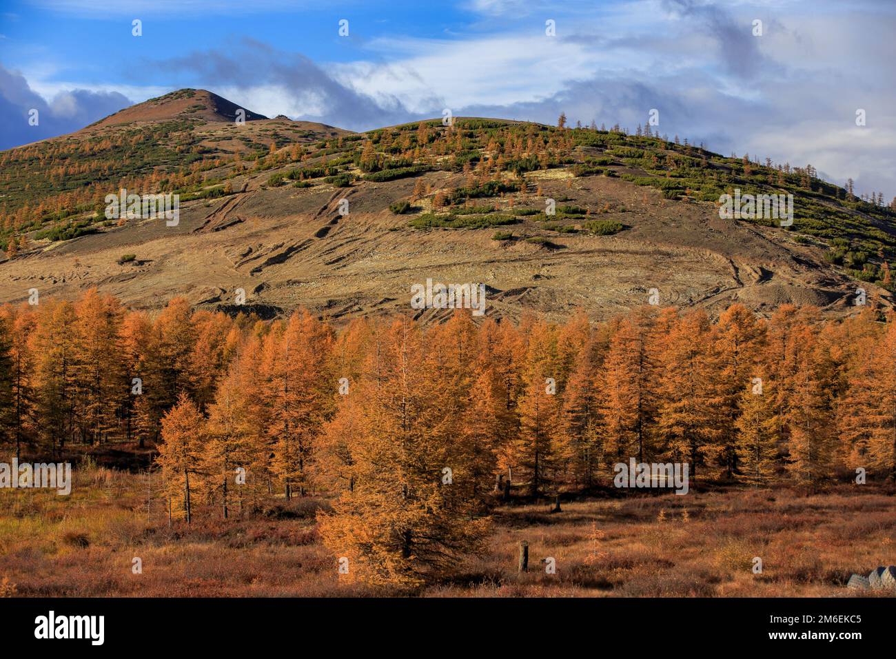 The nature of the Magadan region. Bright low hills in the tundra ...