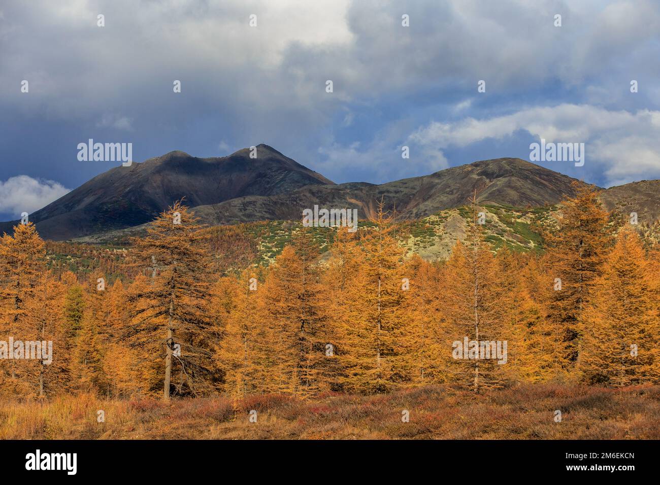 The nature of the Magadan region. Bright low hills in the tundra ...