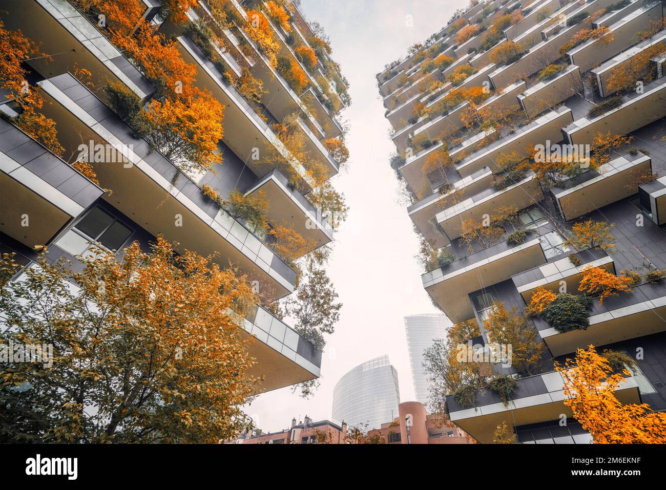 Big city in autumn colours with plants and trees on the balcony of ...