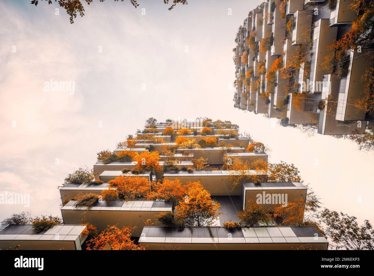 Tall buildings covered with plants in autumn colors on the balconys ...