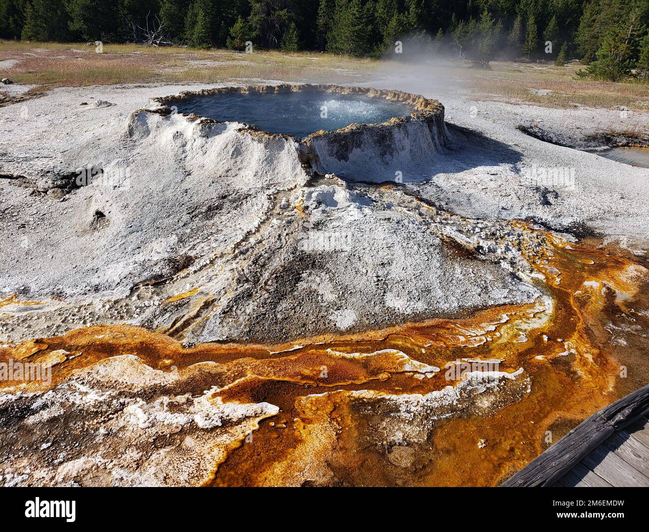 The Crested Pool hot spring in the Upper Geyser Basin in Yellowstone ...