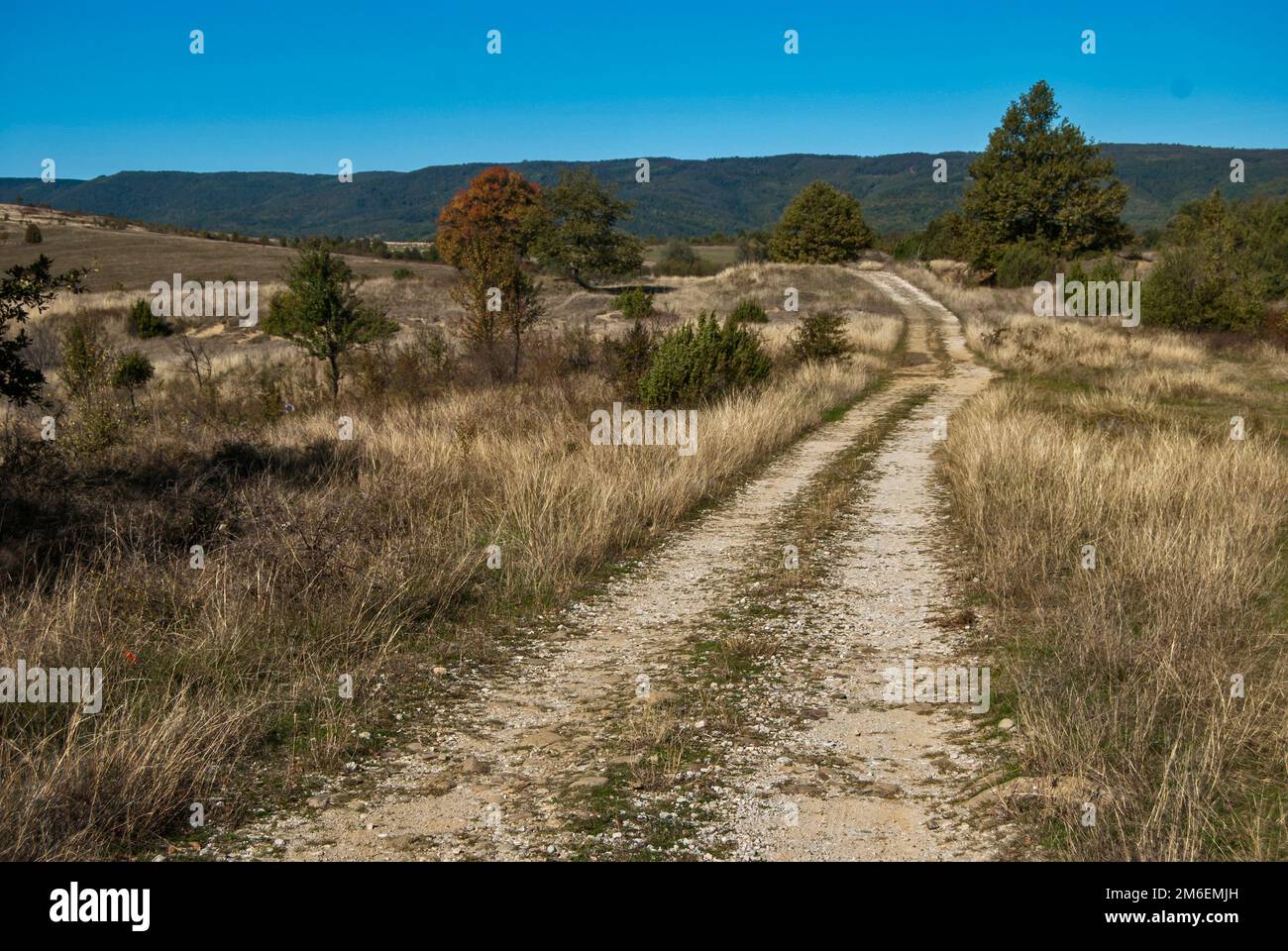 Summer day landscape road hi-res stock photography and images - Alamy