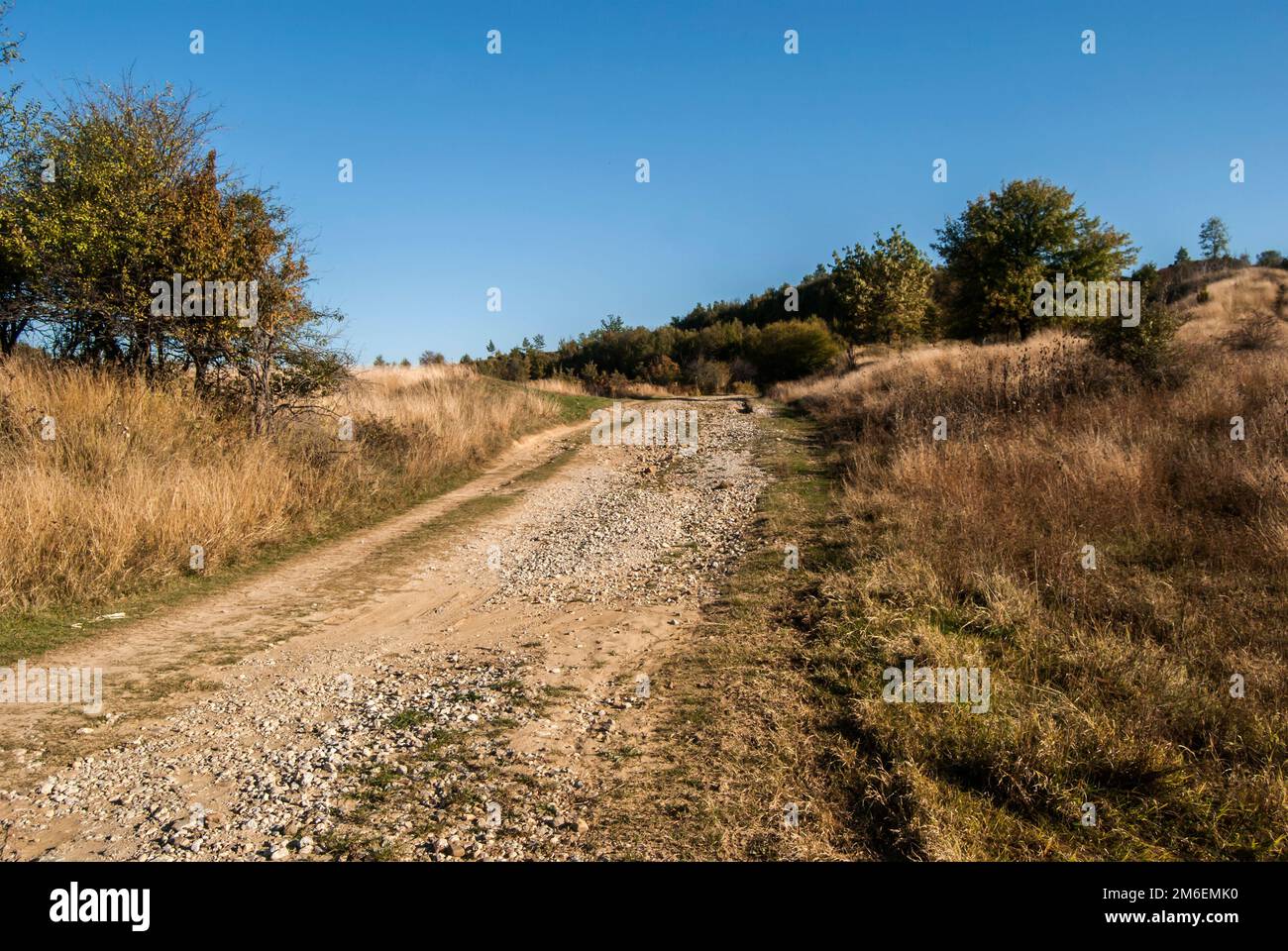 Countryside rural landscape with country road in late summer sunny day ...