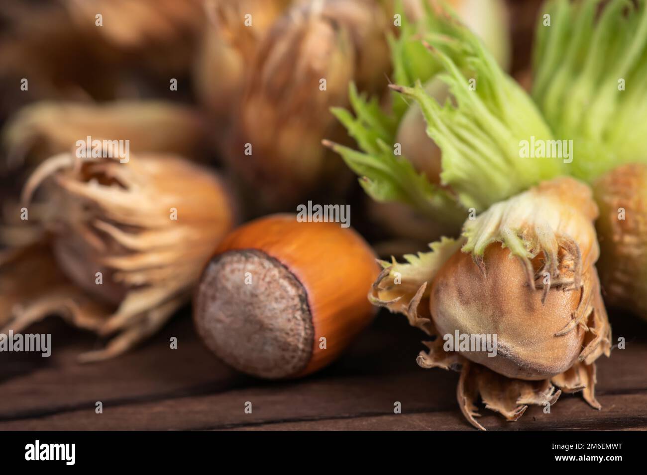 Hazel nuts. A macro shot of hazelnuts background Stock Photo - Alamy