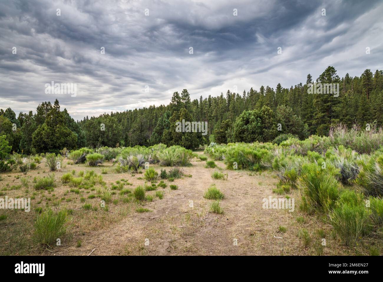Dirt track off FR 17 (Main Canyon Rd), near Birch Creek, Escalante ...