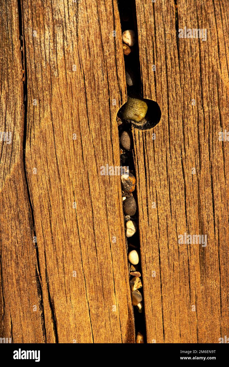 The power of the waves has embedded beach pebbles into cracks in a ...