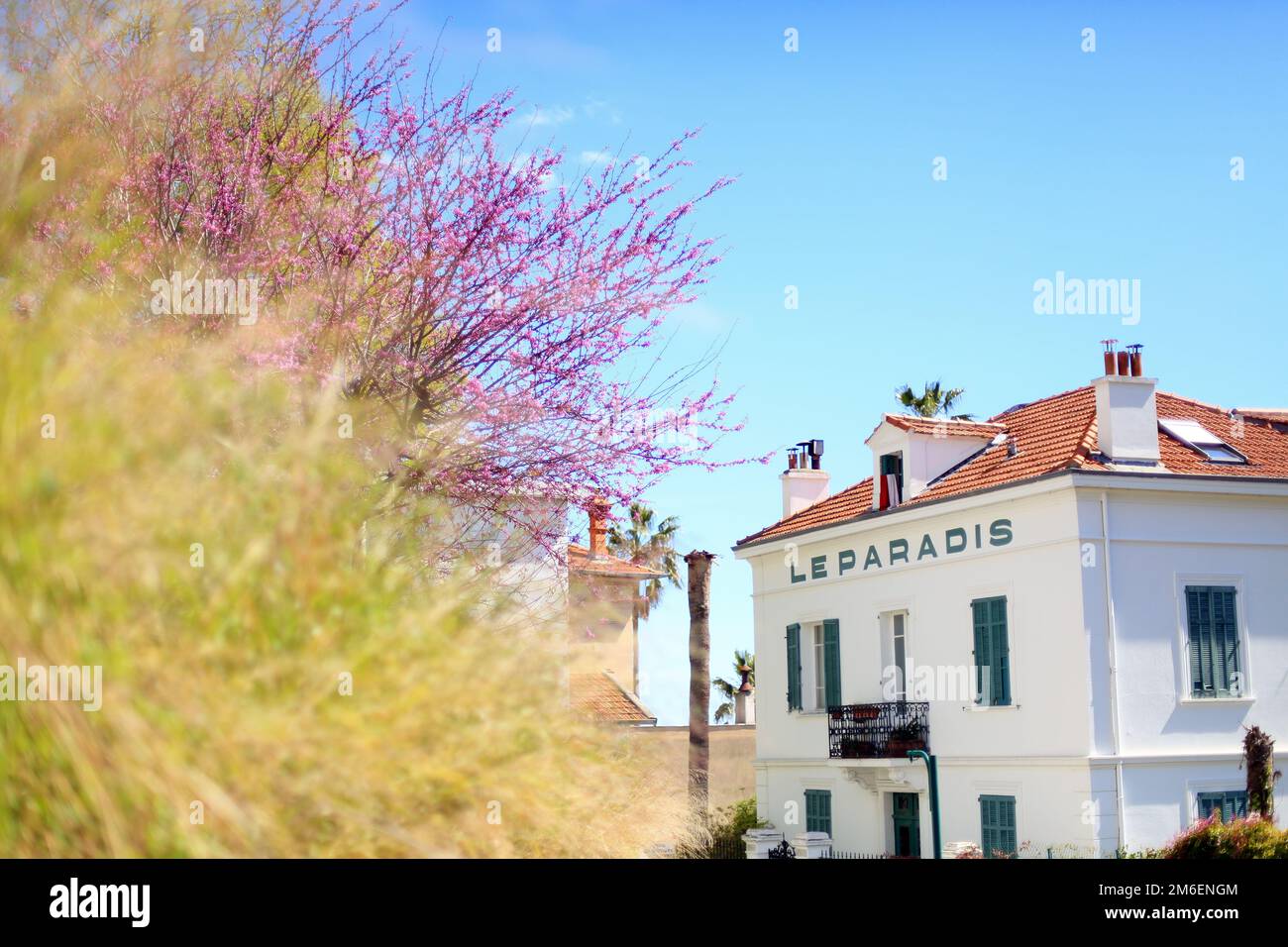 Grasse, Le Bon marché district, Parc naturel des Prealpes d'Azur, Alpes ...