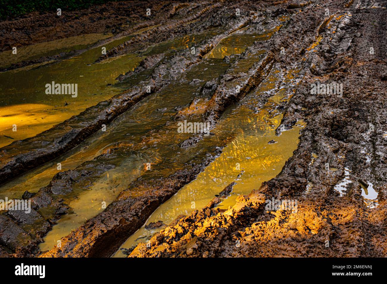 traces of cars in the mud, close view Stock Photo - Alamy